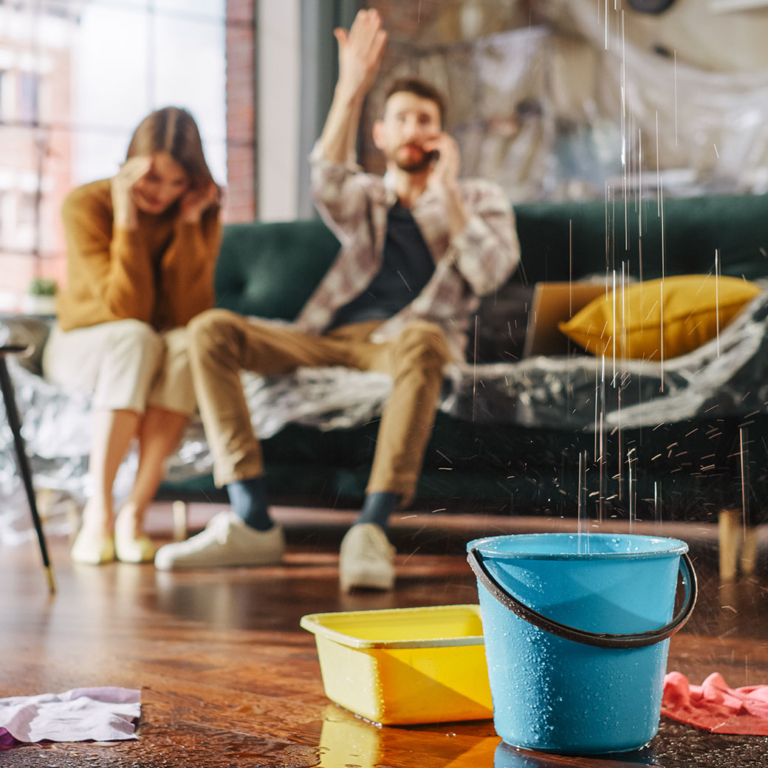 Kfz-Zulassung – VVO-Newsroom