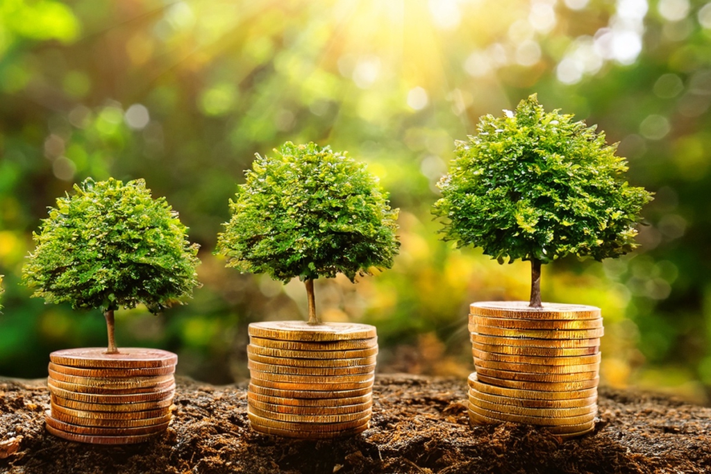 Versicherungen in Zahlen VVO-Jahresbericht 2024 ist online – VVO-Newsroom